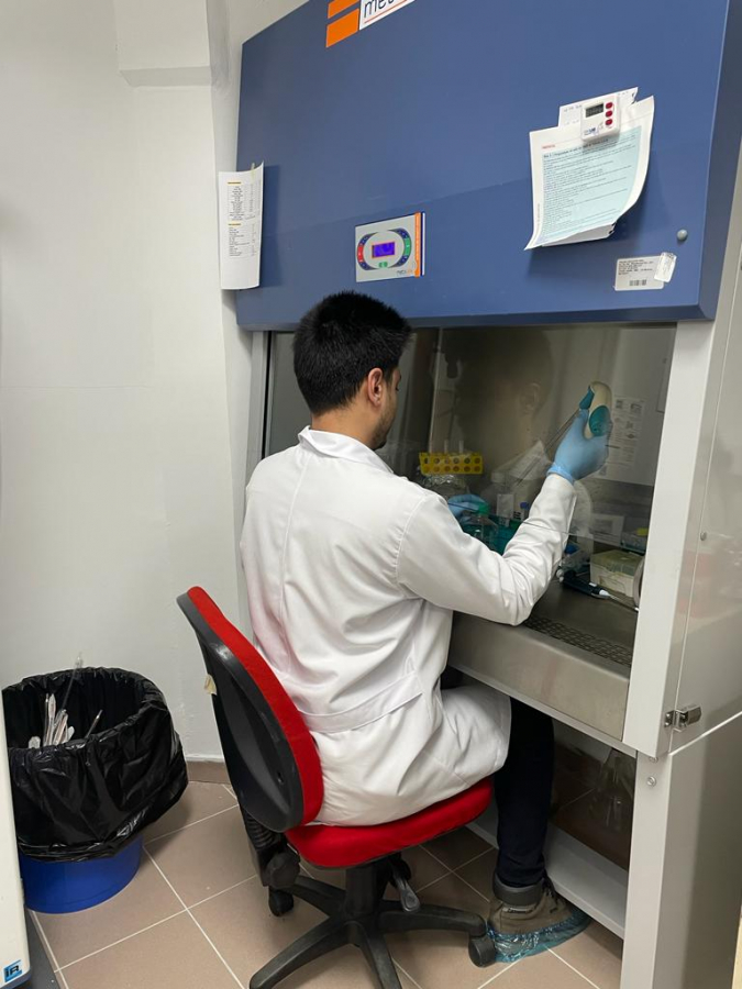 Gallery | Neurobiology of Disease Laboratory