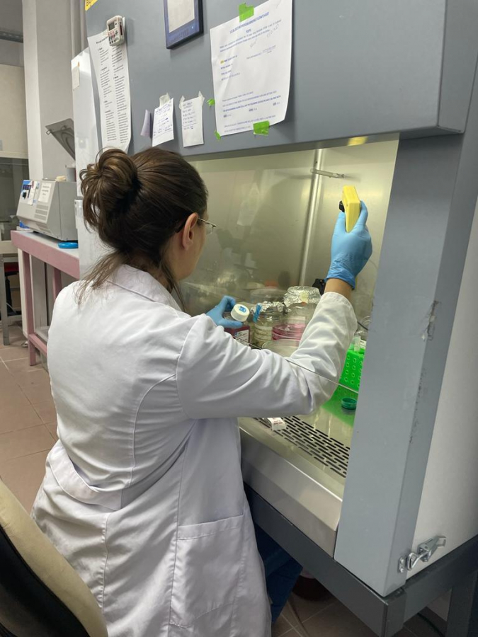 Gallery | Neurobiology of Disease Laboratory